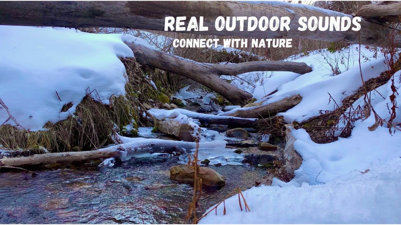 Real sounds, relaxing, soothing stream, babbling brook, ASMR. - YouTube