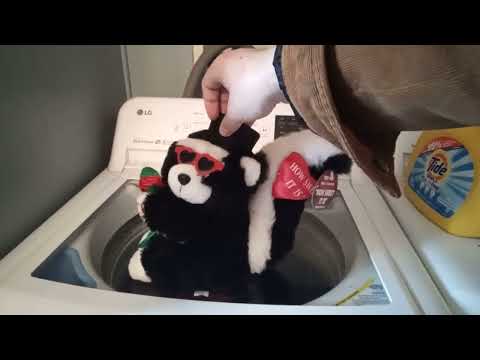 Dan Dee Animated Singing Skunk - "How Sweet It Is" - YouTube