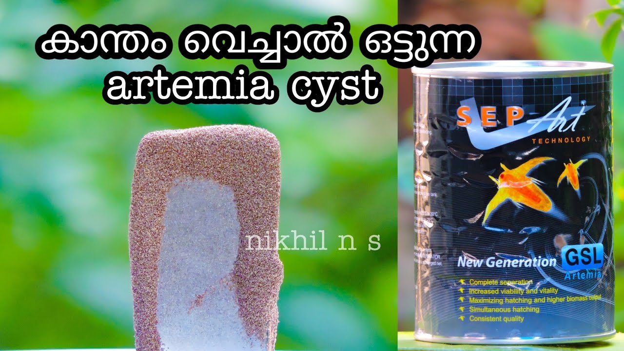 Magnet Artemia review INVE AQUA CULTURE - YouTube