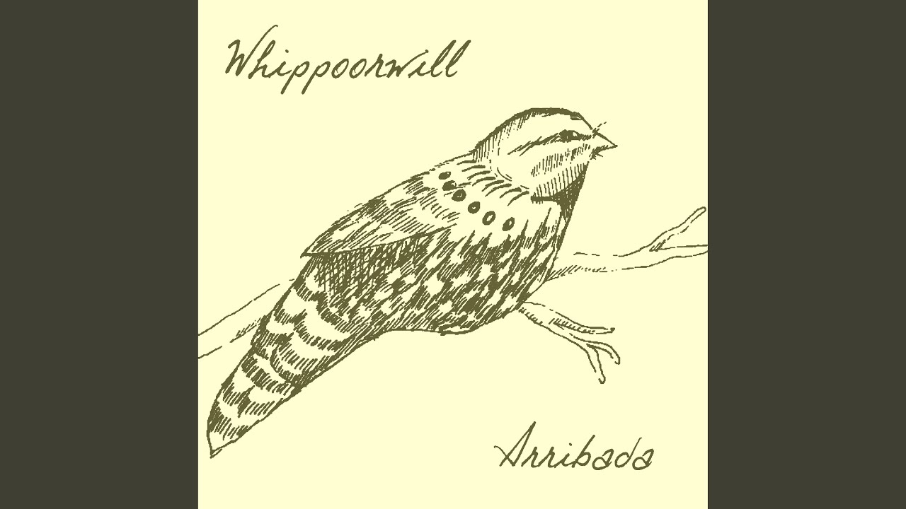 Whippoorwill - YouTube