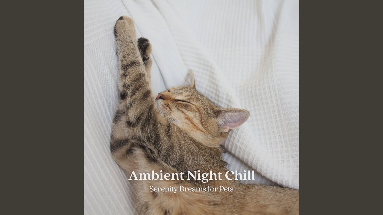 Study Ambience Library Sounds - YouTube