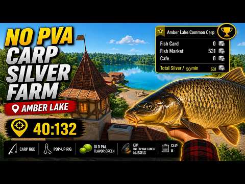 🚫 No PVA Common Carp Farm 🎣 Amber Lake Best Pop-Up Rig & 531 Silver | RF4 2026