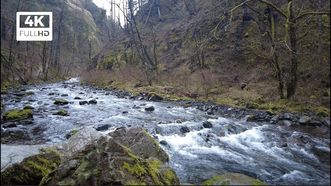 4K Relaxing Mountain River Flowing Sound: 5 Hours- Forest River ...