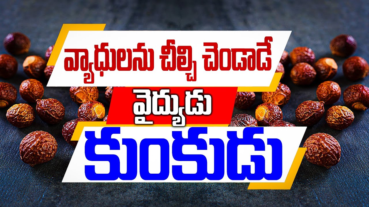 వ్యాధులను చీల్చి చెండాడే వైద్యుడు కుంకుడు | Soap Nut(kunkudu kayalu ...
