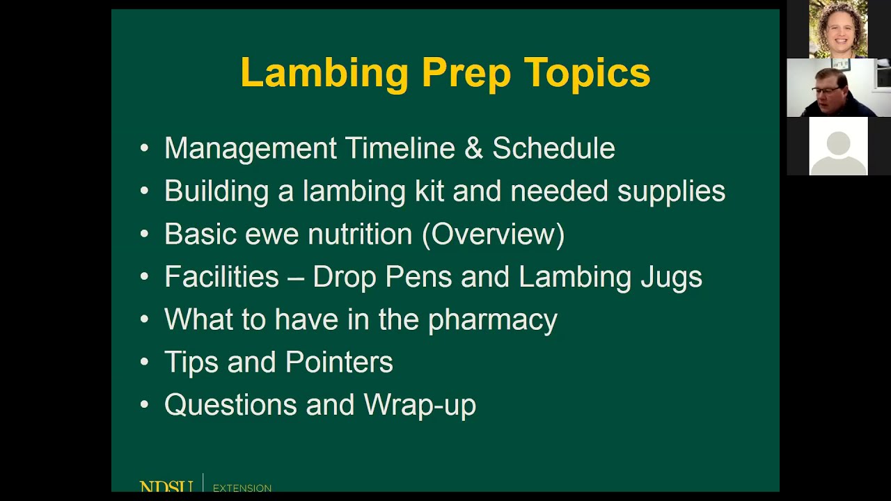 Lambing Preparation with Skip Anderson, North Dakota State University ...