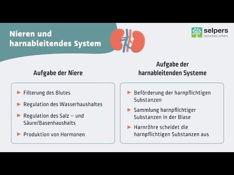 Harn- und Nierensteine einfach erklärt (Expertin informiert)
