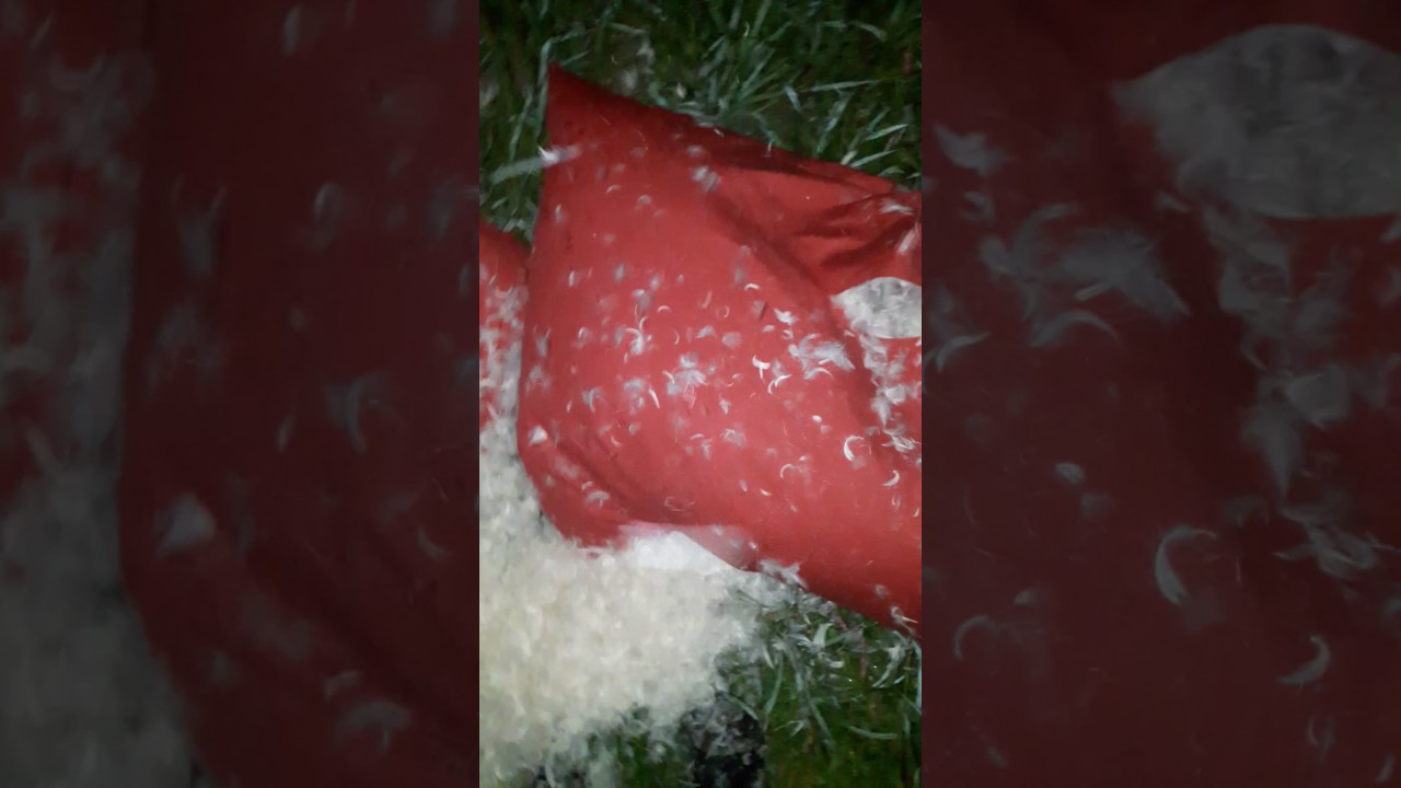 Destruction of 5 pillows and 3 red of my friend😉 - YouTube