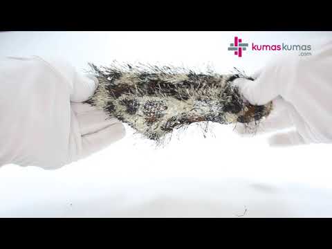 Leopar Desenli Pullu Peluş Kumaş Ürün Örneği Video
