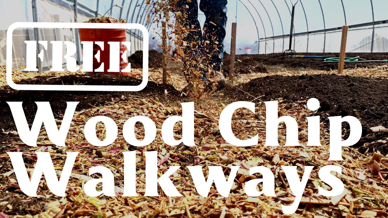 How to Get Free Wood Chips | Making Wood Chip Paths | Four Seasons of ...