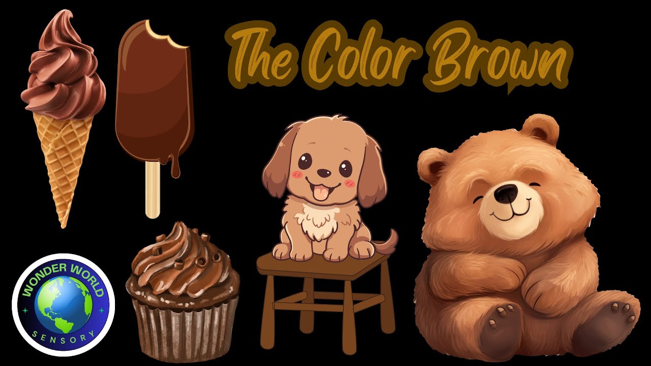 Wonder World Sensory - The COLOR BROWN bright vibrant colors for baby ...
