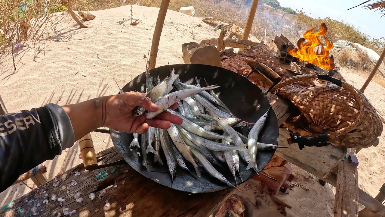 ACERTEI O CARDUME DE PEIXE E PREPAREI NA PRAIA ( CATCH AND COOK) - YouTube