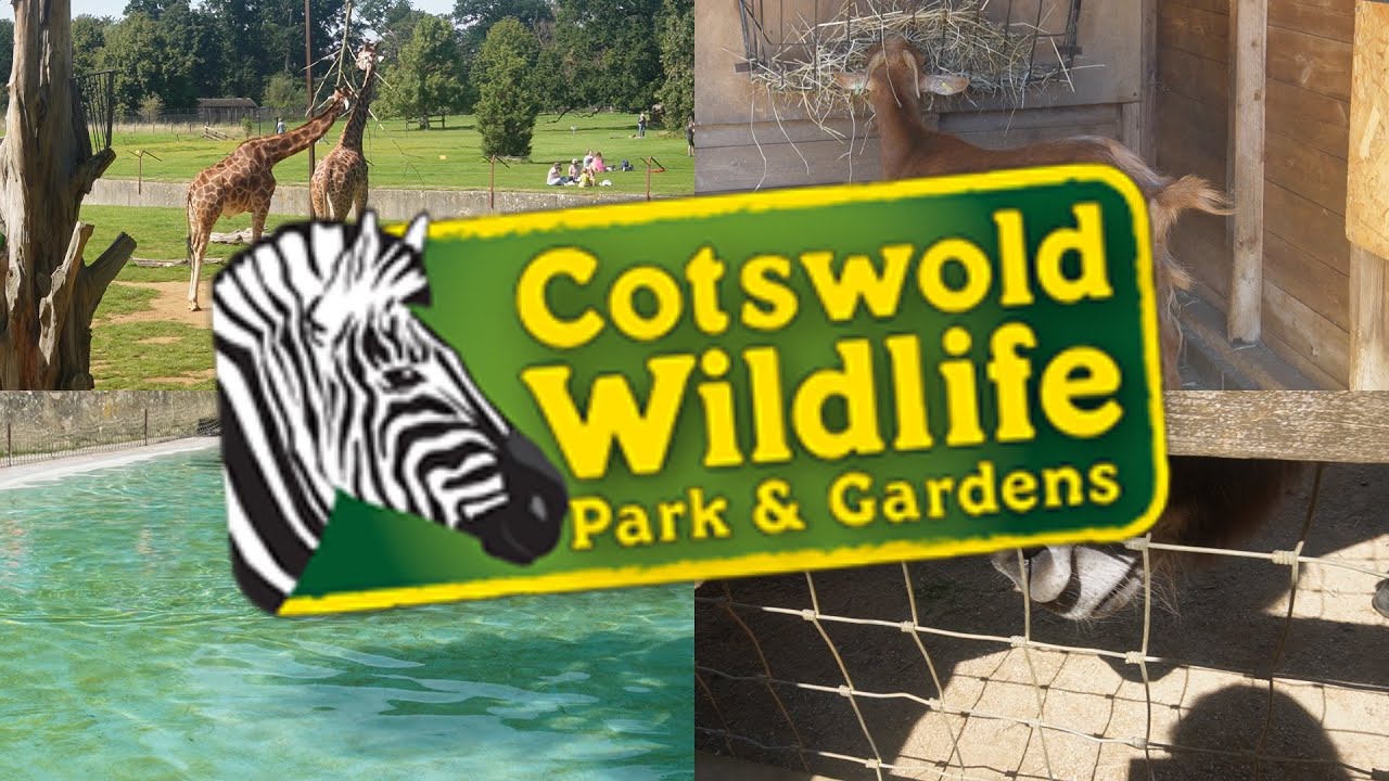 Cotswold Wildlife Park - Part 1 - YouTube