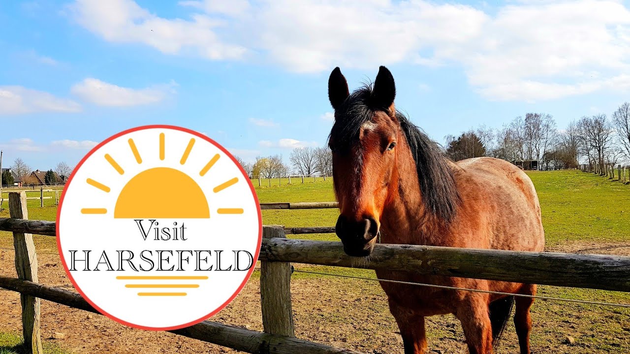 Visit Harsefeld || Countryside || Lower Saxony - YouTube