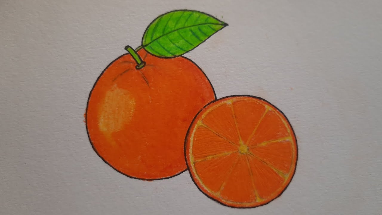 How to draw Orange l How to paint Orange using oil pastels l Santra l ...