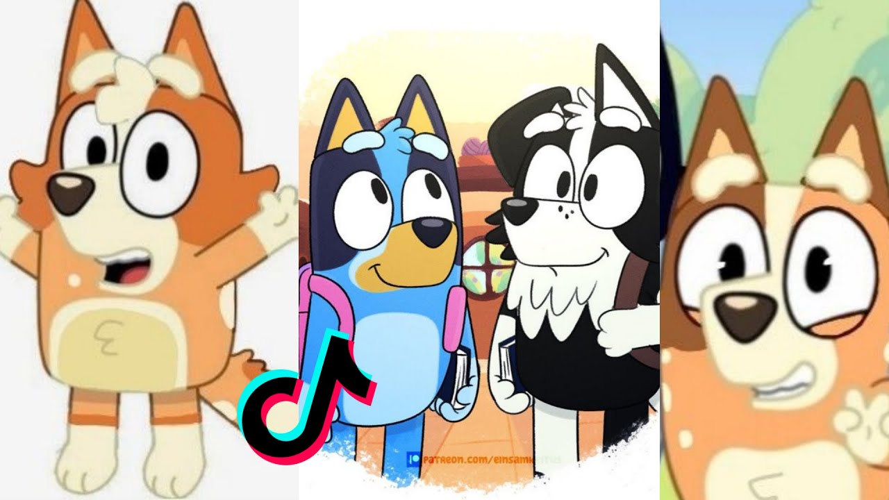 Bluey TikToks - Best Tiktok Compilation 2023 #49 - YouTube