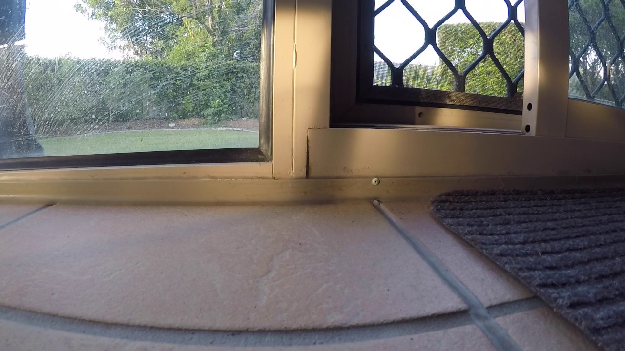 green tree in ashmore - YouTube