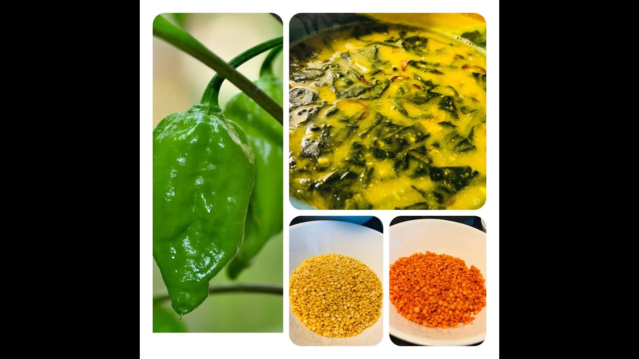 নাগা মরিচ,পালং শাক দিয়ে ডাল রান্না রেসিপি।Barisal er Traditional Naga ...