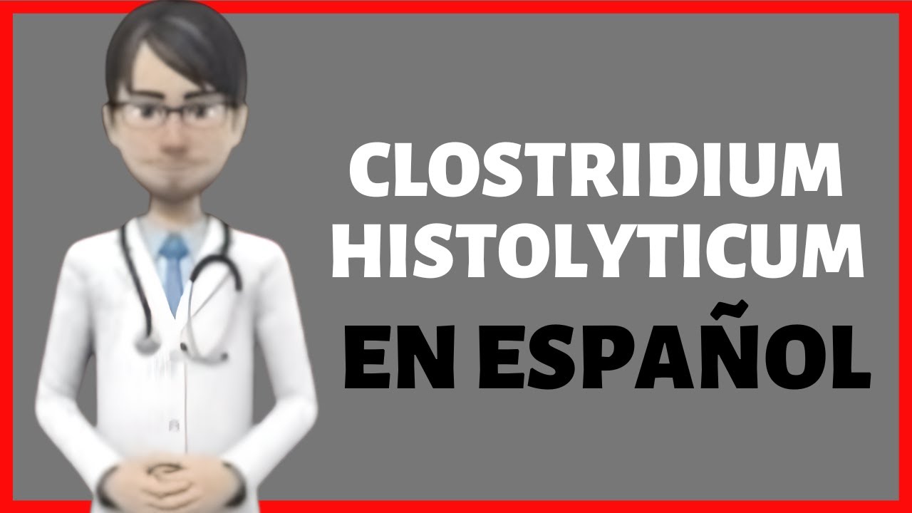 CLOSTRIDIUM HISTOLYTICUM, Collagenase Clostridium Histolyticum ...