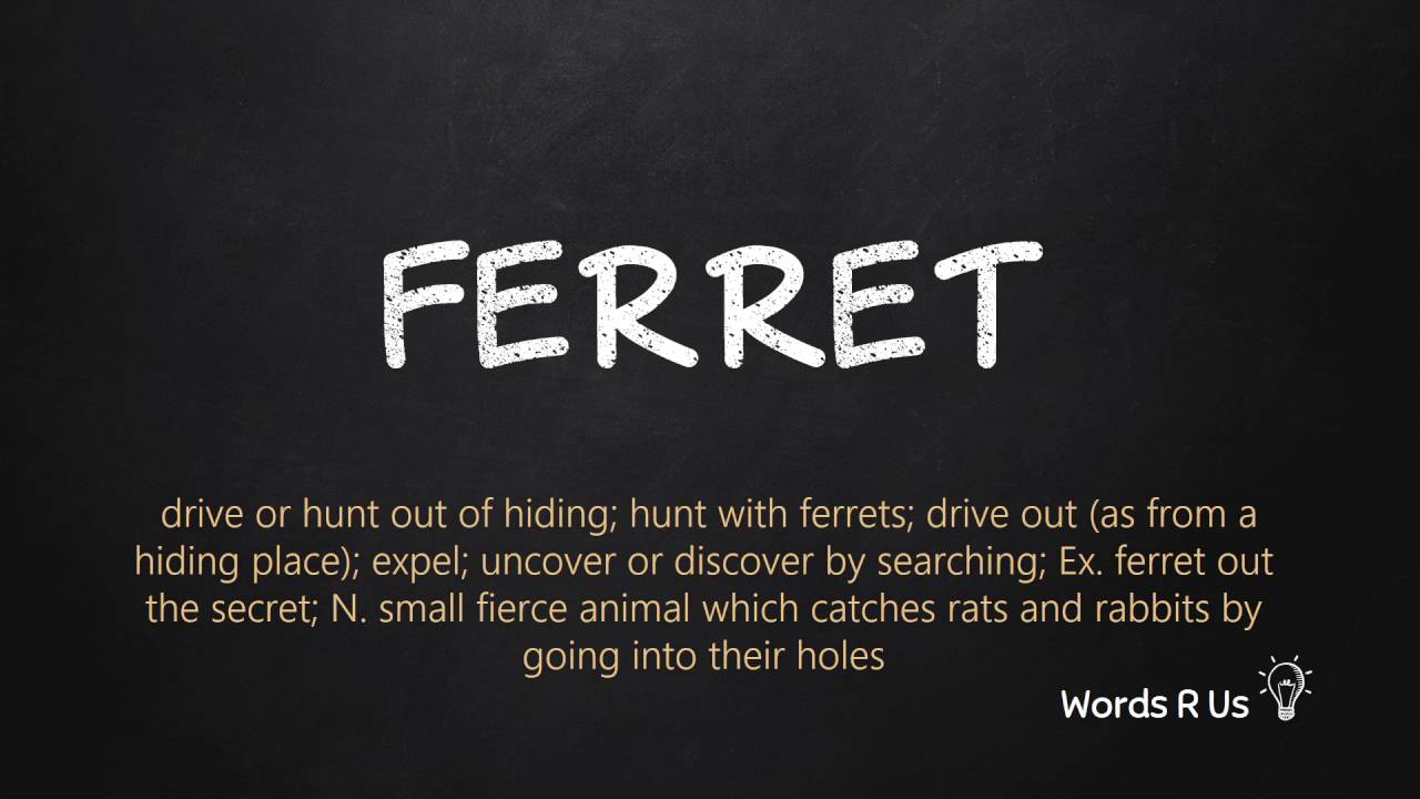 How to Pronounce FERRET in American English - YouTube