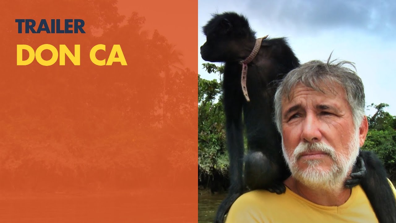 DON CA | Tráiler Oficial | KINOA.TV - YouTube