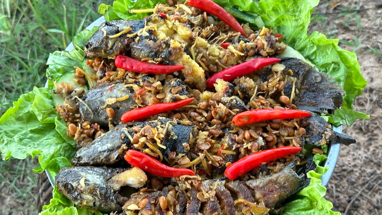 Expert Tips for Catching and Cooking Fish - YouTube