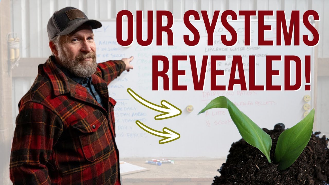 Staying Organized on the Homestead - Our Homestead Systems Revealed ...