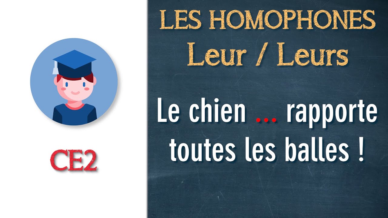 Les homophones Leurs / Leur - CE2 - Petits Savants - YouTube
