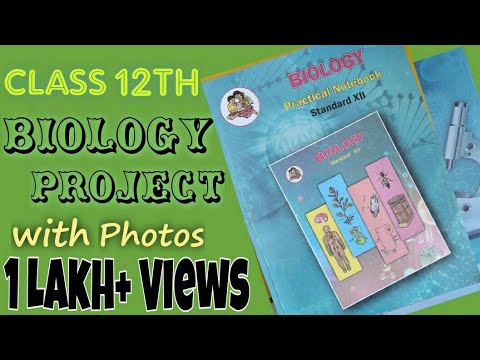 12th std Biology project "Collect Different types of Modified Stems ...