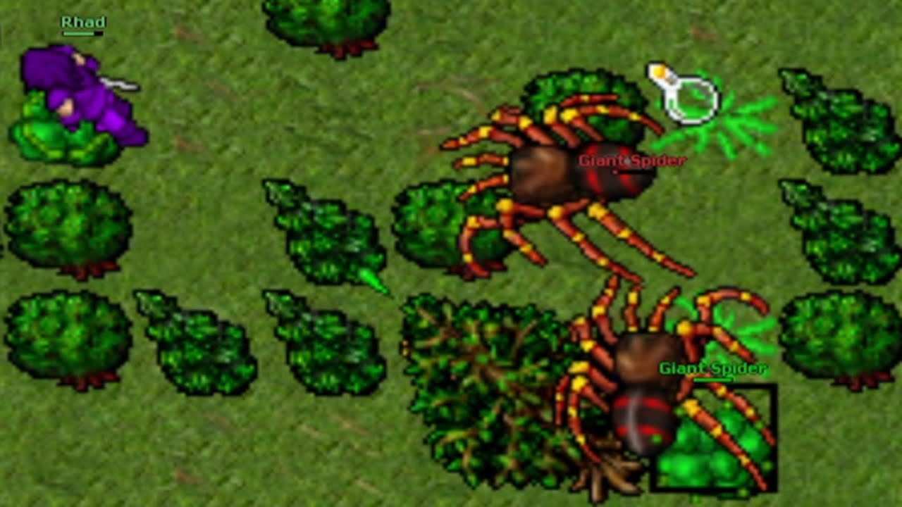 (EXP) Giant Spider Hunt by 64 RP until he LevelUp! (Rubera 2006 - RL ...