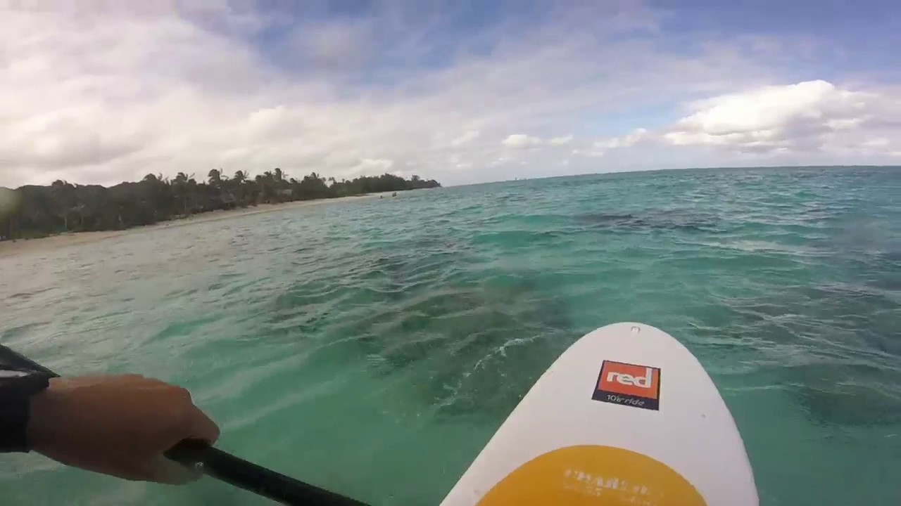 Kayaking & Paddle Boarding | Rarotonga, Cook Islands | Gopro - YouTube