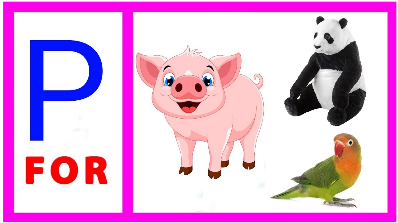 Words that start with Letter P For Kids || P Words Vocabulary || Kids ...