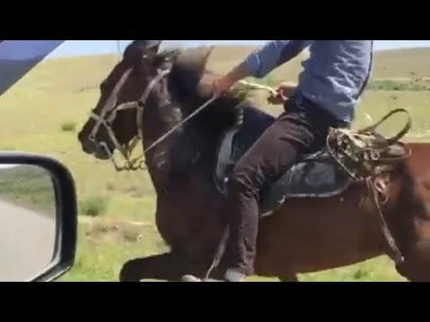 Kuren (Fuzuli) Gonderdi Isi