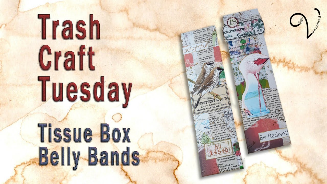 Trash Craft Tuesday : Tissue box belly bands with a furry guest - YouTube