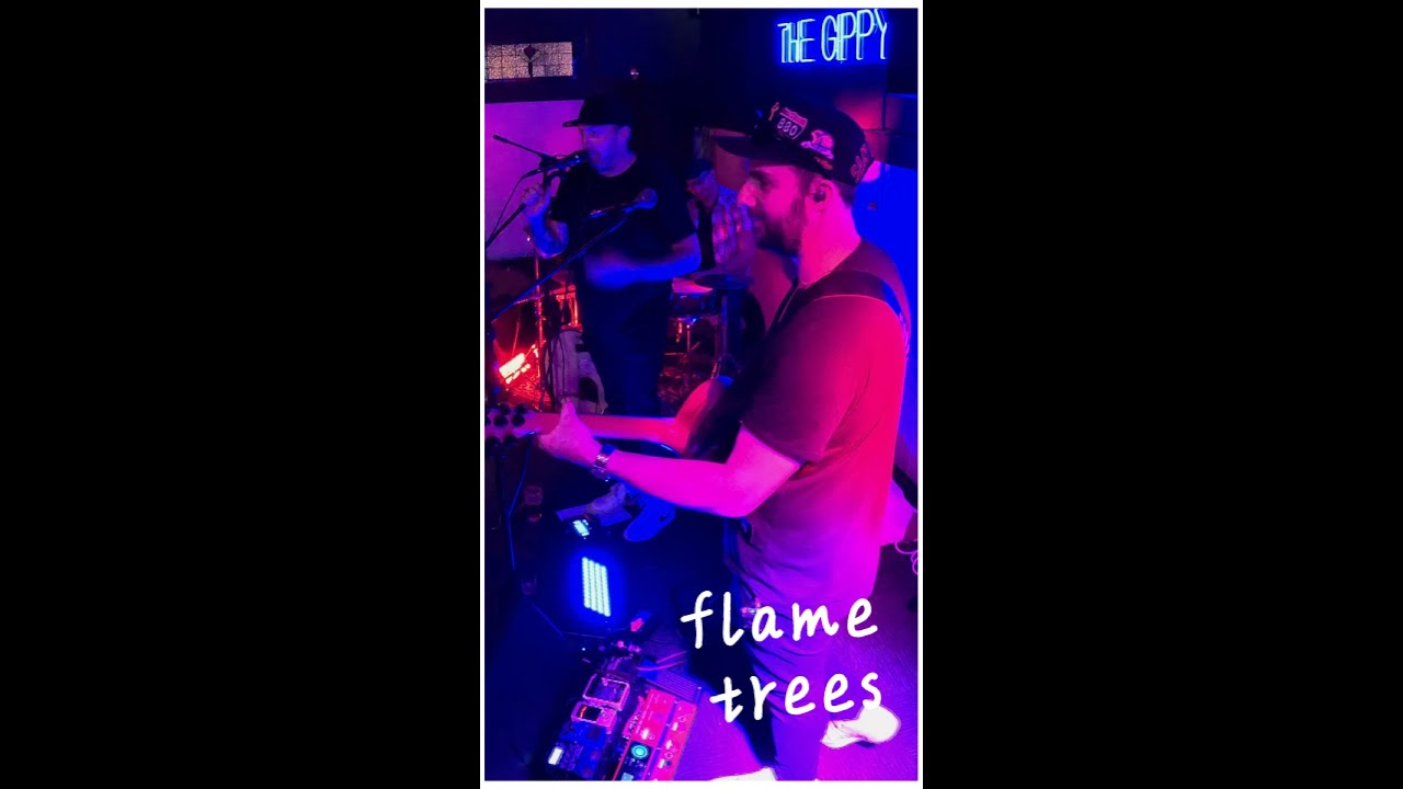 Flame Trees - YouTube