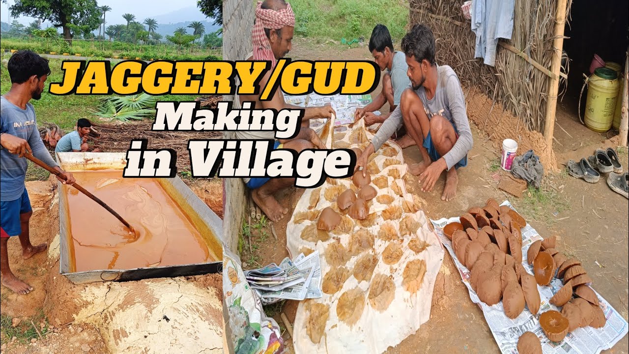 गुड़ कैसे बनता हैं 🤔 | JAGGERY/GUD Making Process in Village | 1 ...