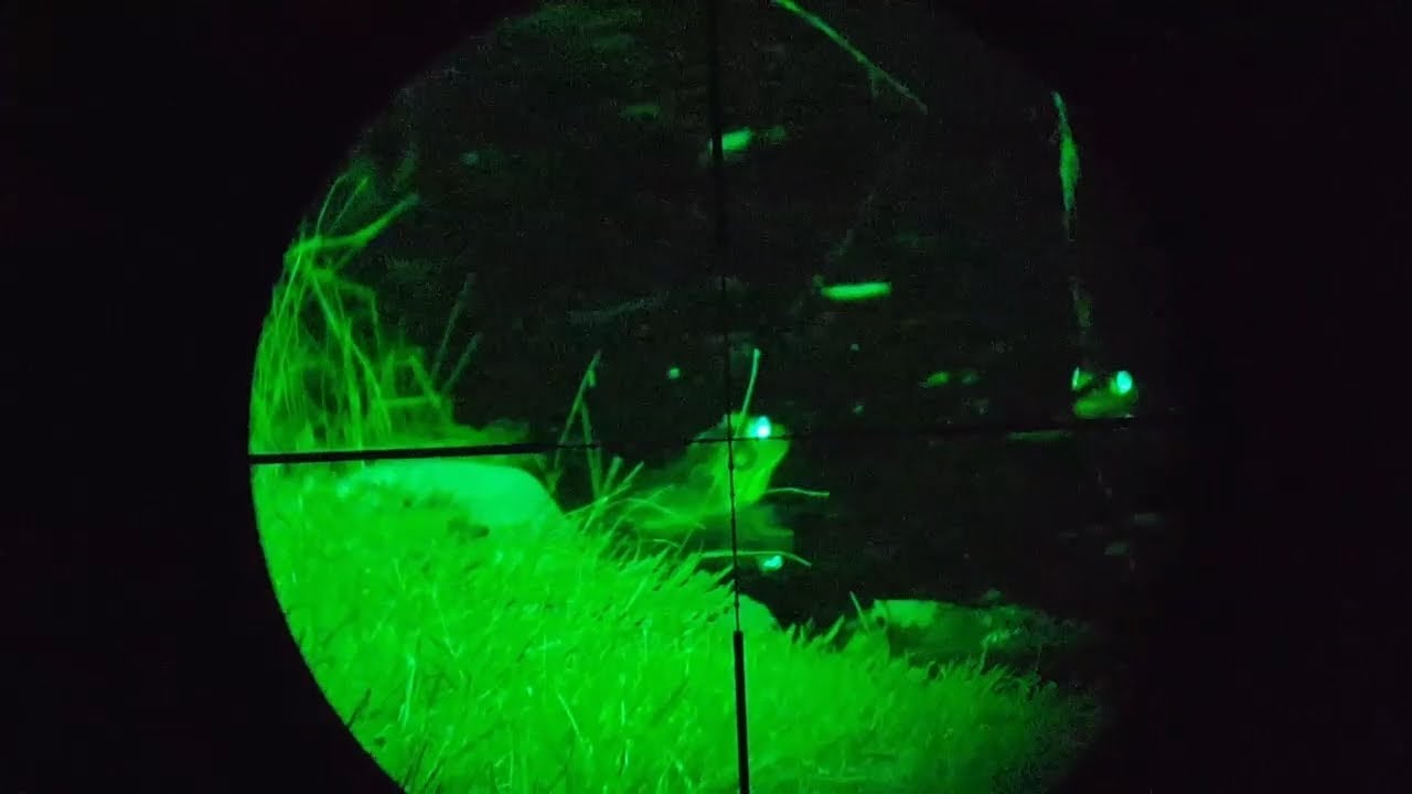 .22cal Suppressed Night Vision ScopeCam Frogs - YouTube