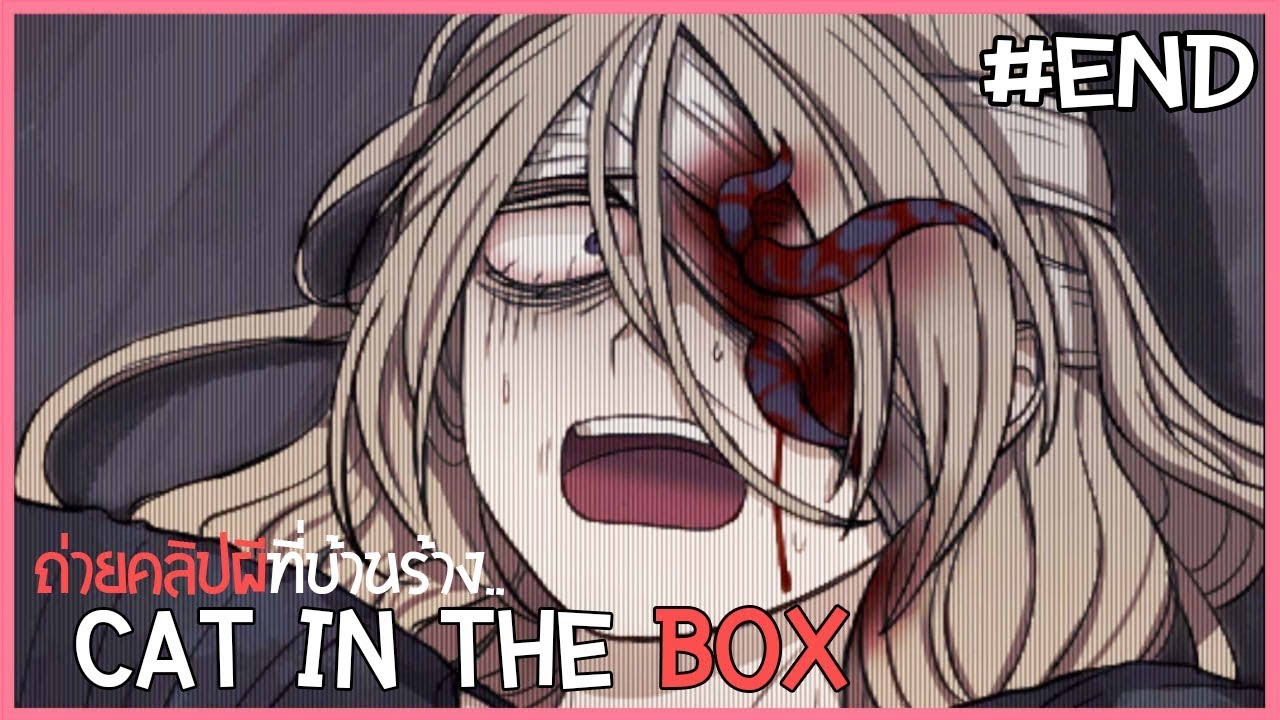 แมวที่อยู่ในกล่องจะเป็น หรือว่าตาย ? (END) | Cat in the Box #5 ( RPG ...