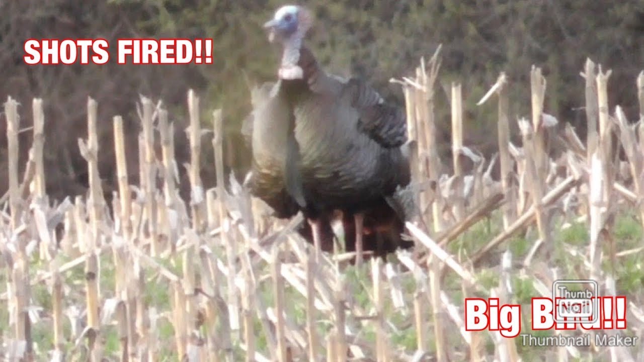 EP:2 SHOTS FIRED During Opening Week!! - YouTube