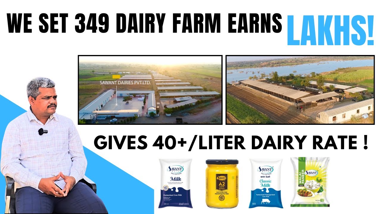 We Gives ₹40/Liter & Set 350 Farms for Farmers : Earn Lakhs From Dairy ...