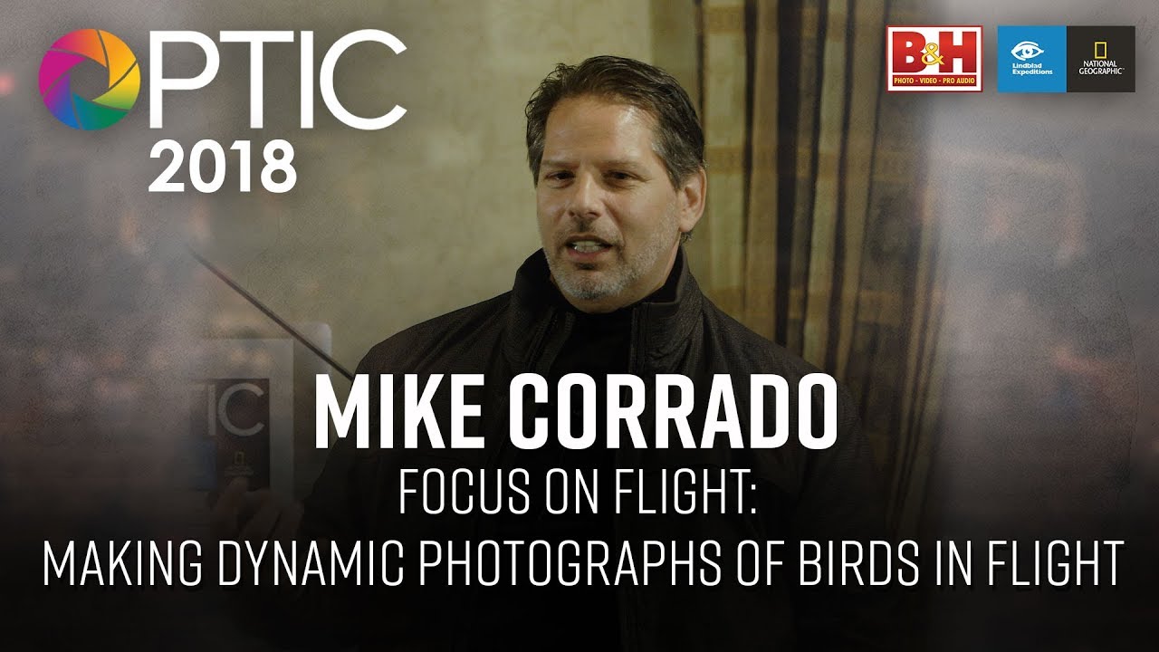 Optic 2018 | Focus on Flight: Making Dynamic Photographs of Birds in ...