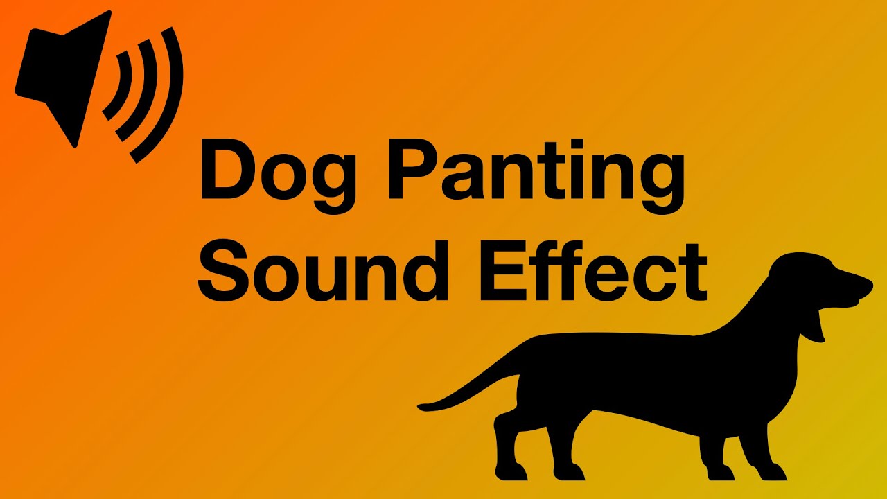 Dog Panting - Sound Effect [4K] - YouTube