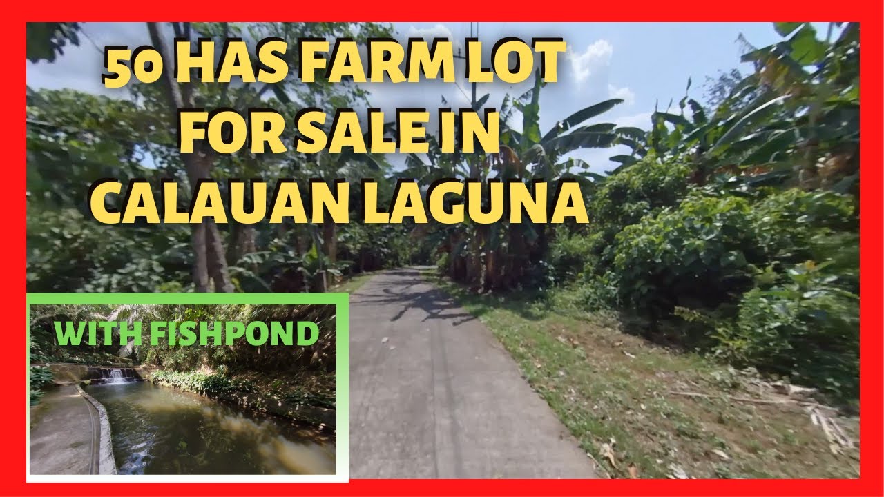 50 has Farm Lot in Calauan for Sale (Lot Code: 2337) - YouTube