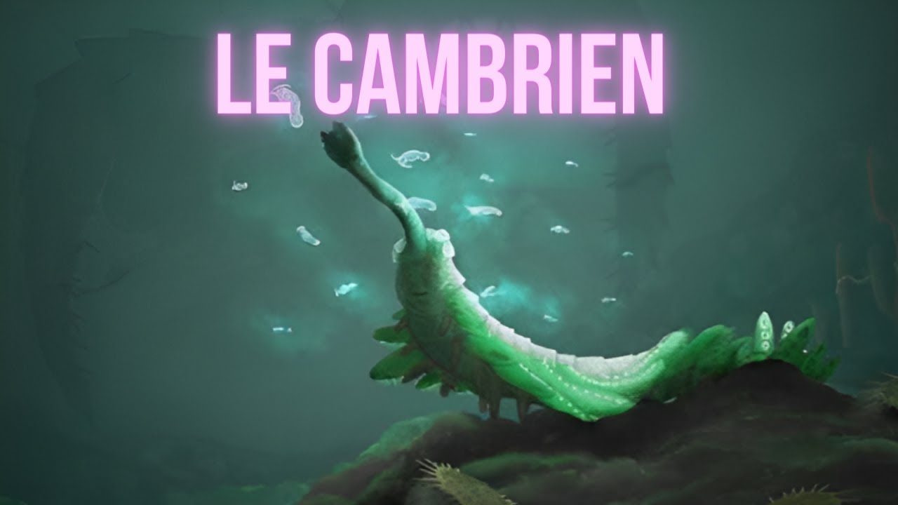 Le Cambrien Les Temps Anciens 1 YouTube le-cambrien-les-temps-anciens-1-youtube