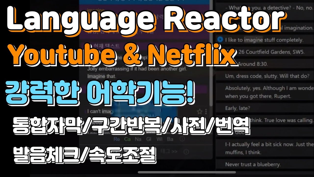 ’Language Reactor‘ 지금 바로 설치하세요. 유튜브&넷플릭스가 스크린회화 프로그램이 됩니다.# 영어회화 #넷플릭스 ...