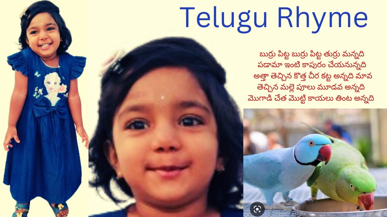 Burru Pitta Burru Pitta Turru Mannadi - Telugu Rhymes for children ...