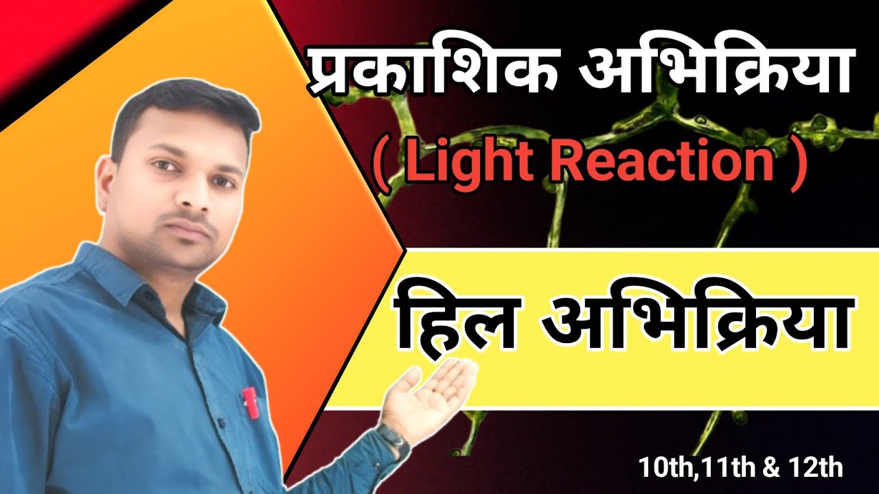 Light reaction | Hill reaction | प्रकाशिक या हिल अभिक्रिया | Science ...