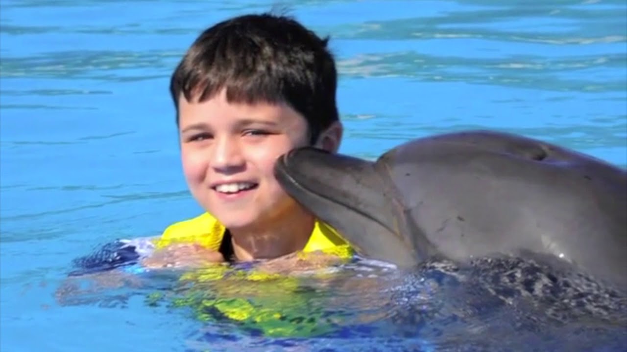 Mayan Riviera Part 3, Bahia Principe Tulum and Dolphinaris - YouTube