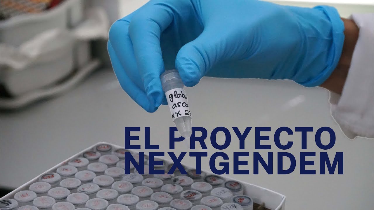 La fórmula para conservar la flora endémica de la Macaronesia - YouTube