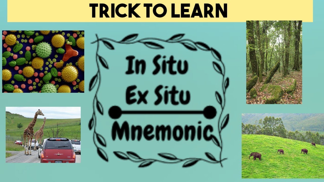TRICK to learn in-situ and ex-situ conservation|| neet2022 ||neettricks ...