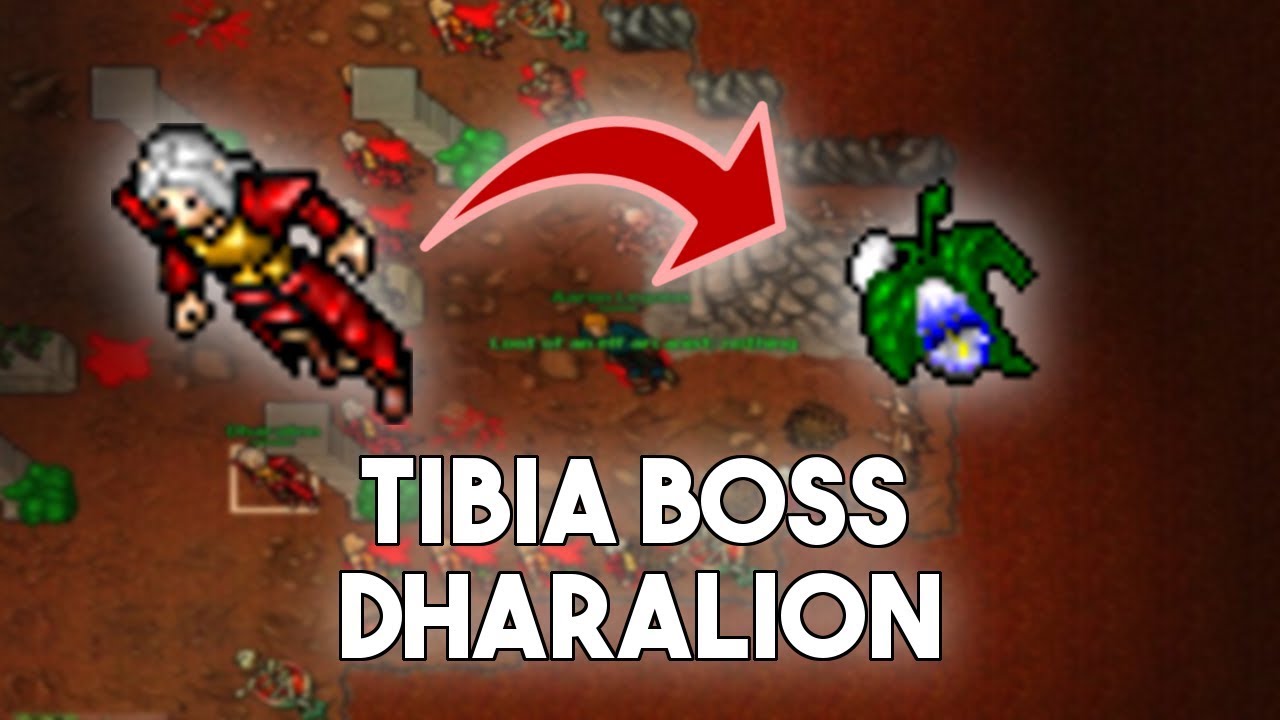 [PL] Tibia Boss | Dharalion (Elf Fortress) - YouTube